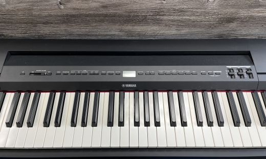 Gear Hunter | Yamaha - P255 B