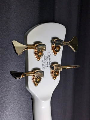 Gear Hunter | Spector NS-2 Custom Shop