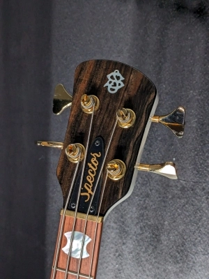 Gear Hunter | Spector NS-2 Custom Shop