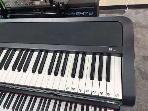 Gear Hunter | Korg - B2-BK