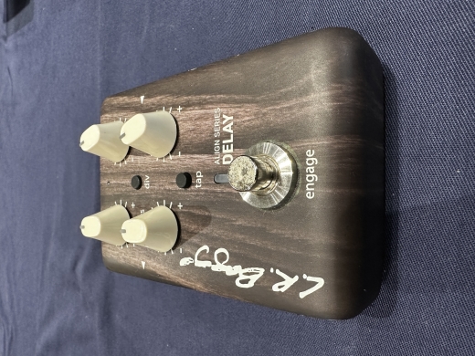 Gear Hunter | L.R Baggs - LR-ALIGN-DELAY