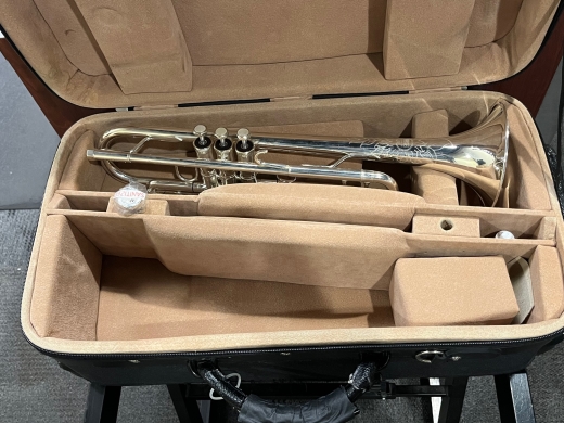 Gear Hunter | Eastman Trumpet - ETR520S