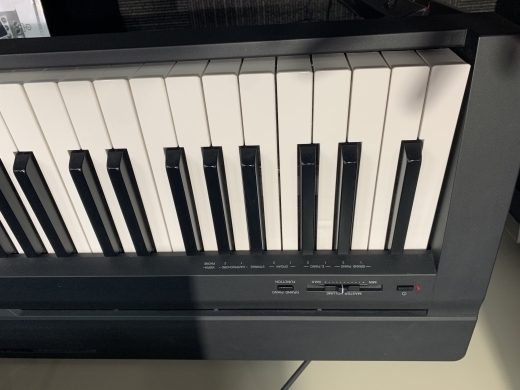 Gear Hunter | Yamaha - P45 B