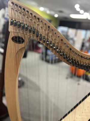 Gear Hunter | Dusty Strings - RAVENNA 34 FULL