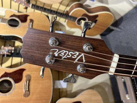Gear Hunter | Vester Acoustic Bass