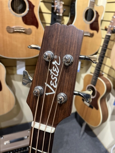 Gear Hunter | Vester Acoustic Bass