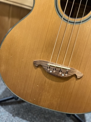 Gear Hunter | Vester Acoustic Bass