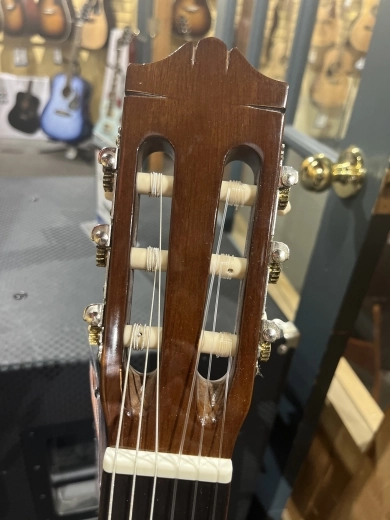 Gear Hunter | Yamaha - C40