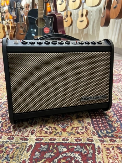 Gear Hunter | Traynor - AMMINI