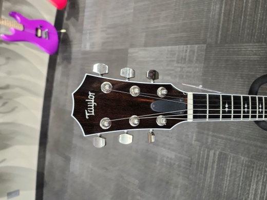 Gear Hunter | Taylor Guitars - T5Z PRO BLUE