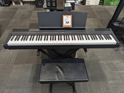 Gear Hunter | Yamaha - P115 B