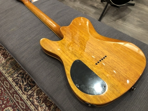 Gear Hunter | Fender - 026-2004-520