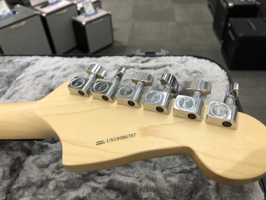 Gear Hunter | Fender - 011-3290-709