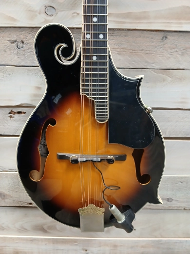 Gear Hunter | Oscar Schmidt F-Style Mandolin