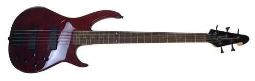 Gear Hunter | Peavey Millennium AC BXP 5-String Bass