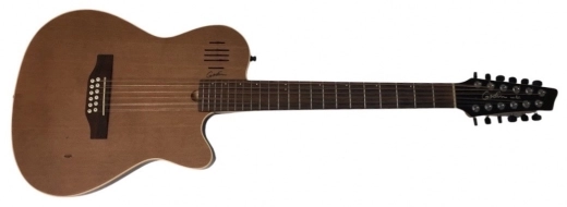 Gear Hunter | Godin A12 12-String Electric/Acoustic