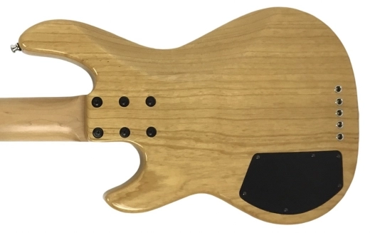 Gear Hunter | G&L Tribute L-2500 5 String Bass