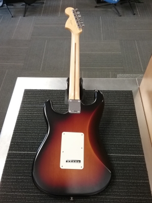 Gear Hunter | FENDER HW1 HSS STRAT 3TS