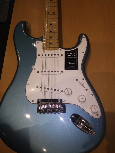 Gear Hunter | Fender - 014-4502-513