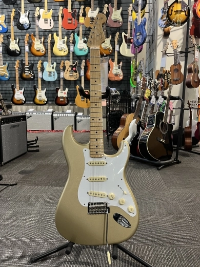 Gear Hunter | Fender - 014-1102-344