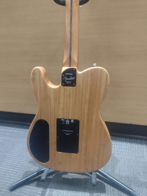 Gear Hunter | Fender - 097-2213-280