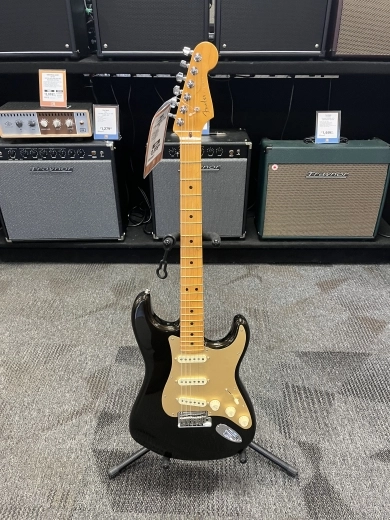 Gear Hunter | Fender - 011-8012-790