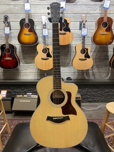 Gear Hunter | Taylor Guitars - 214CE-RW