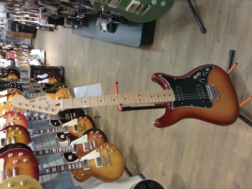 Gear Hunter | Fender - 014-4312-547