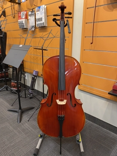 Gear Hunter | Eastman Strings - VC605ST