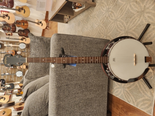 Gear Hunter | Washburn 5-String Banjo