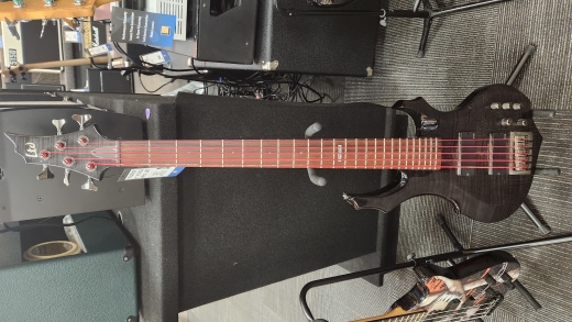 Gear Hunter | ESP BASS 5 STRING QMT TRANS BLACK