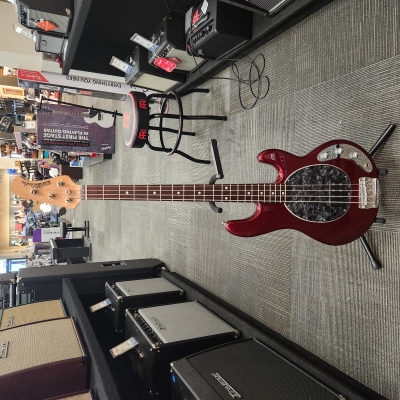 Gear Hunter | Ernie Ball 4-String Bass