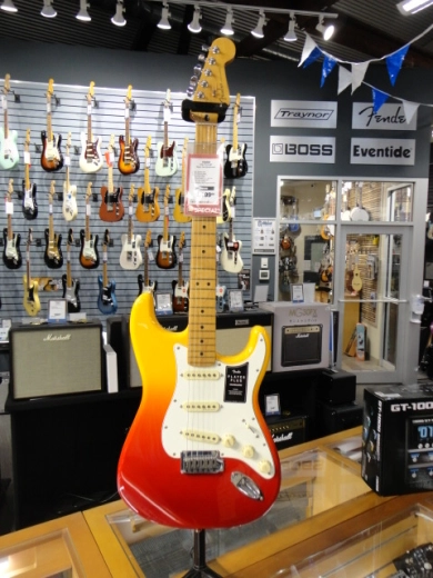 Gear Hunter | Fender - 014-7312-387