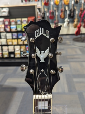 Gear Hunter | GUILD S200 T BIRD BLACK