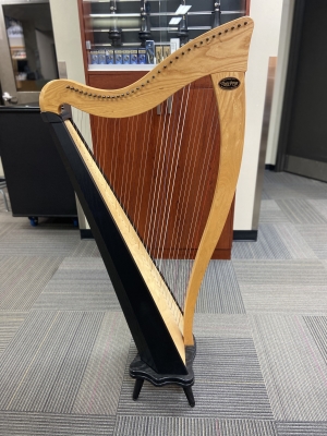 Gear Hunter | Dusty Strings - RAVENNA 34 FULL