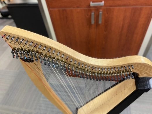 Gear Hunter | Dusty Strings - RAVENNA 34 FULL