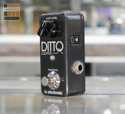 Gear Hunter | TC Electronic - DITTO LOOPER
