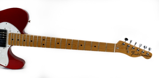 Gear Hunter | Fender - 014-9742-309