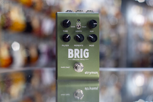 Gear Hunter | Strymon - BRIG Delay Pedal