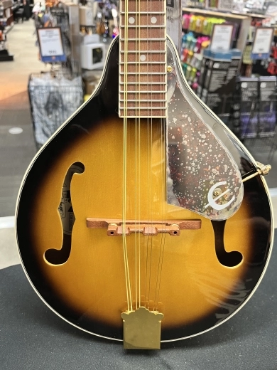 Gear Hunter | Epiphone Mandolin - blemish