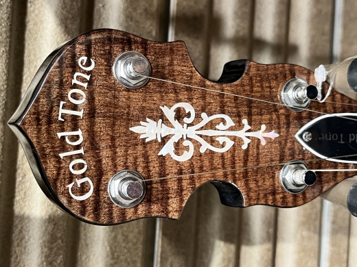 Gear Hunter | Gold Tone - Orange Blossom Pro Banjo