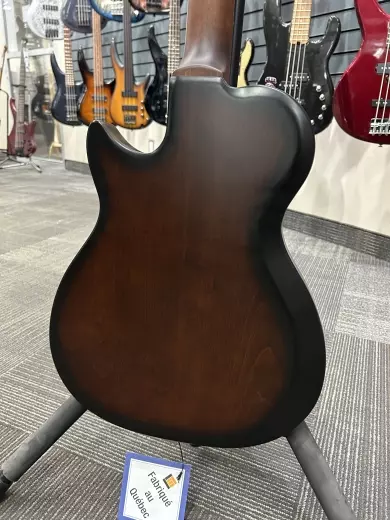 Godin Guitars Radiator Electric Guitar With Gig Bag - Bourbon Burst