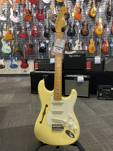 Gear Hunter | Fender - 011-3602-741