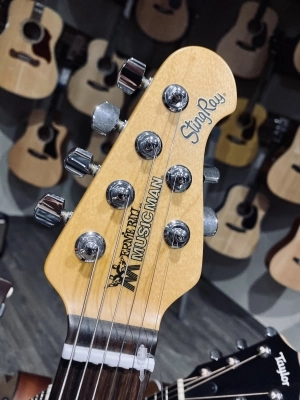 Gear Hunter | EBMM STINGRAY 6 String Black