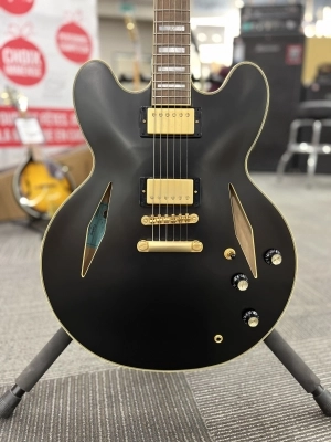 Gear Hunter | EPIPHONE EMILY WOLFE SHERATON