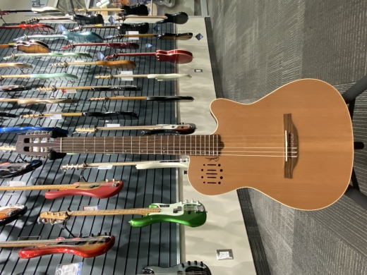 Gear Hunter | Godin Multiac Nylon Encore SG