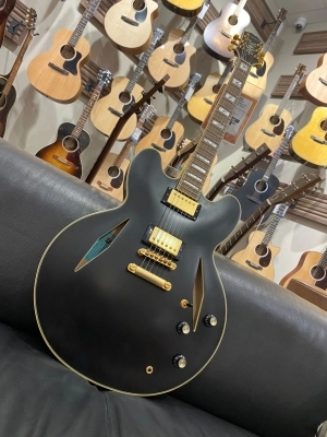 Gear Hunter | Epiphone - EMILY WOLFE SHERATON STEALTH