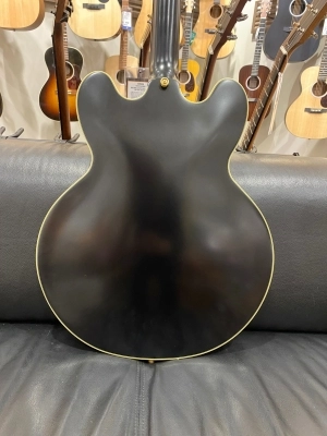 Gear Hunter | Epiphone - EMILY WOLFE SHERATON STEALTH