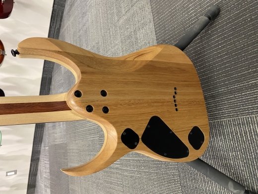 Gear Hunter | Ibanez - IBANEZ IRON LABEL RGD SURREAL BLACK BURST