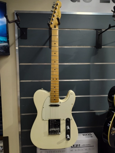 Gear Hunter | Fender - 14-5102-580